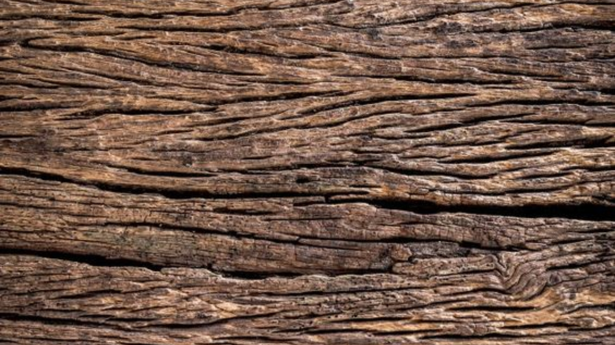 Explorando a Durabilidade e Resistência dos Móveis. - Blog BV Magazine